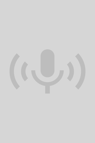 Audiobook V De Vacilo